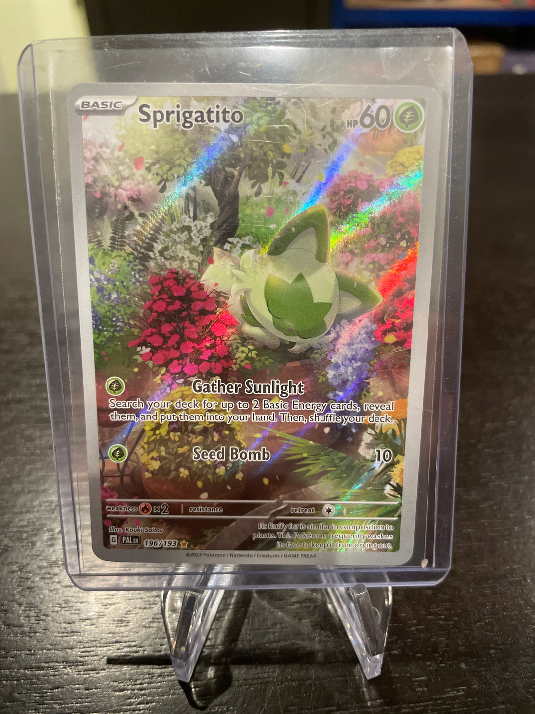 Pokemon TCG 2023 Sprigatito Paldea Evolved Illustration Rare, 196/193 ...